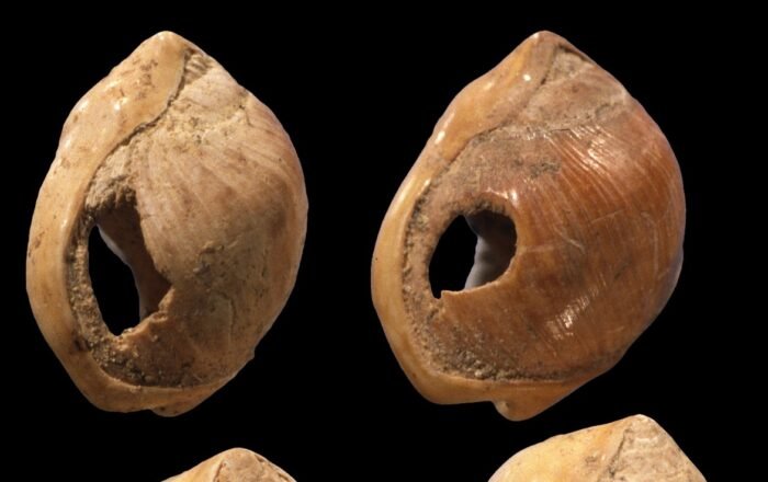 Jewelry of the Prehistoric Period - C. Blackburn Jewelers